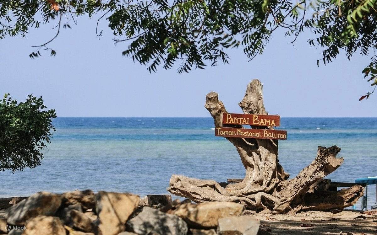 Pulau Tabuhan Taman Nasional Baluran Wisata Pantai Bama di Banyuwangi ...
