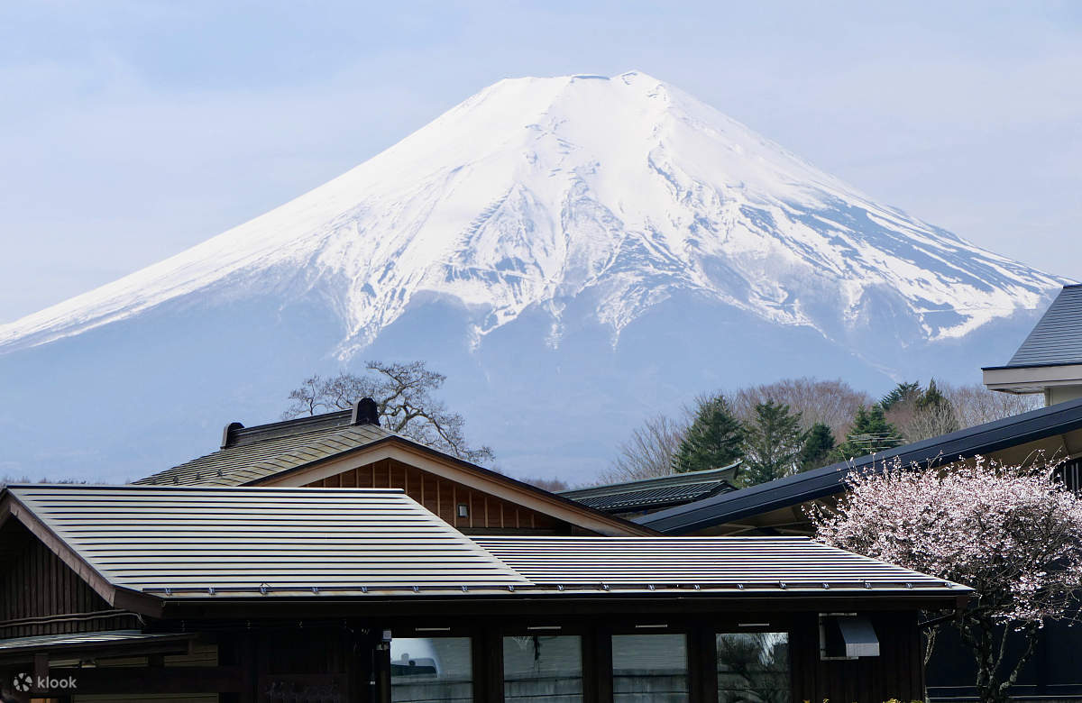 Mount Fuji, Kawakuchiko, and Arakurayama Sengen Park Join In Bus Tour ...