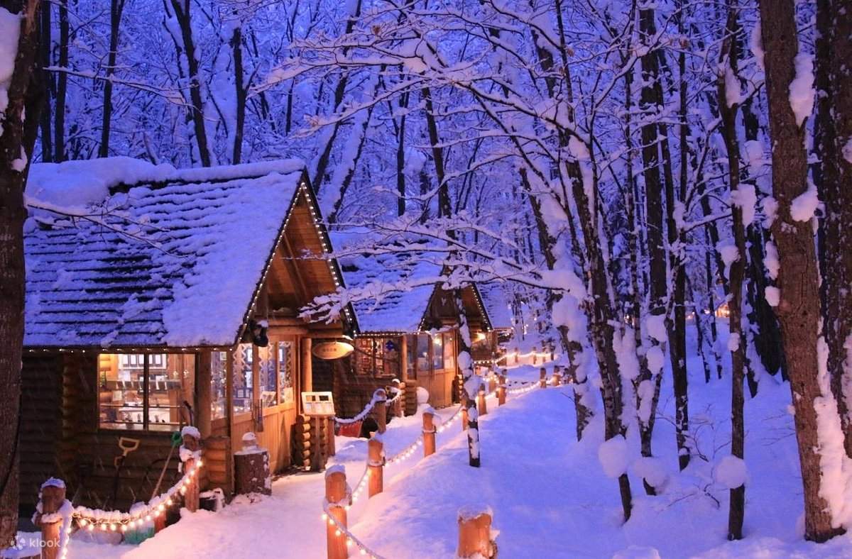 Hokkaido Asahikawa Zoo, Shikisai no oka snow park, and Ningle Terrace ...