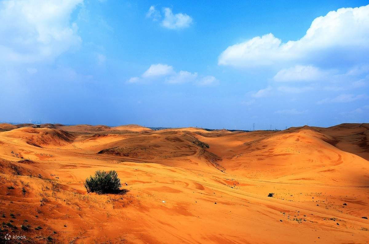 Ordos Private 1-Day Tour from Hohhot Kubuqi Desert - Klook Hong Kong