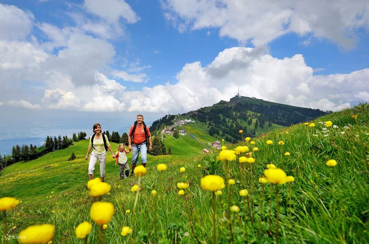 Rigi, Queen of the Mountains Tour (Zurich Departure) - Klook