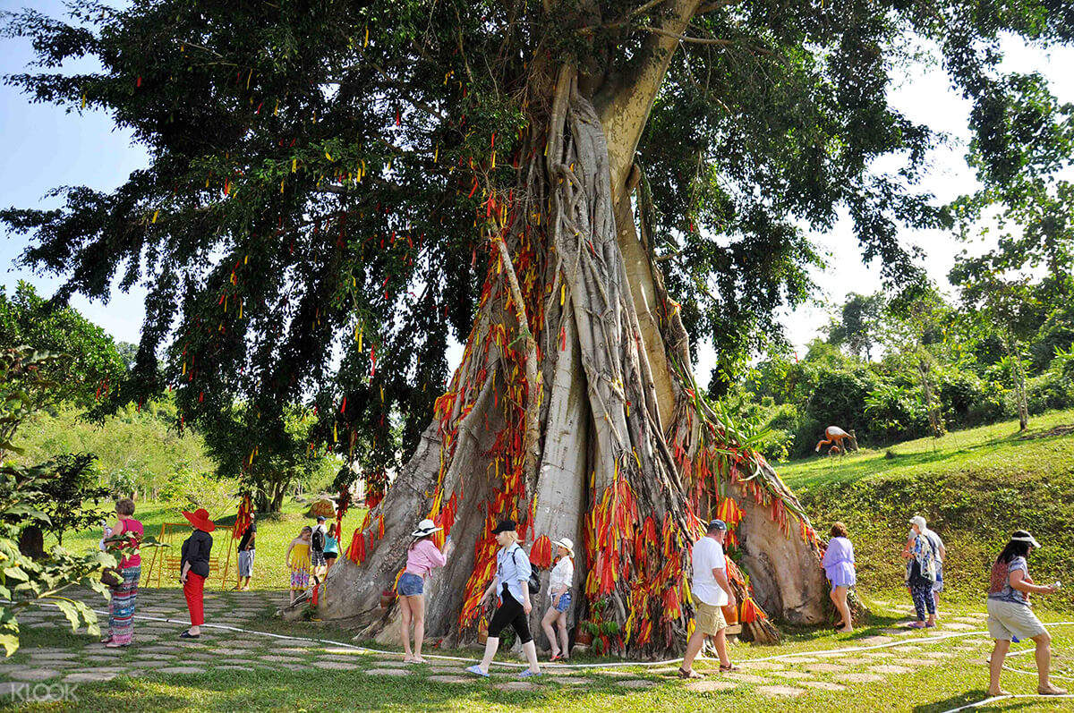 [SALE] Nha Trang Sightseeing and Yangbay Waterfall Private Day Tour ...