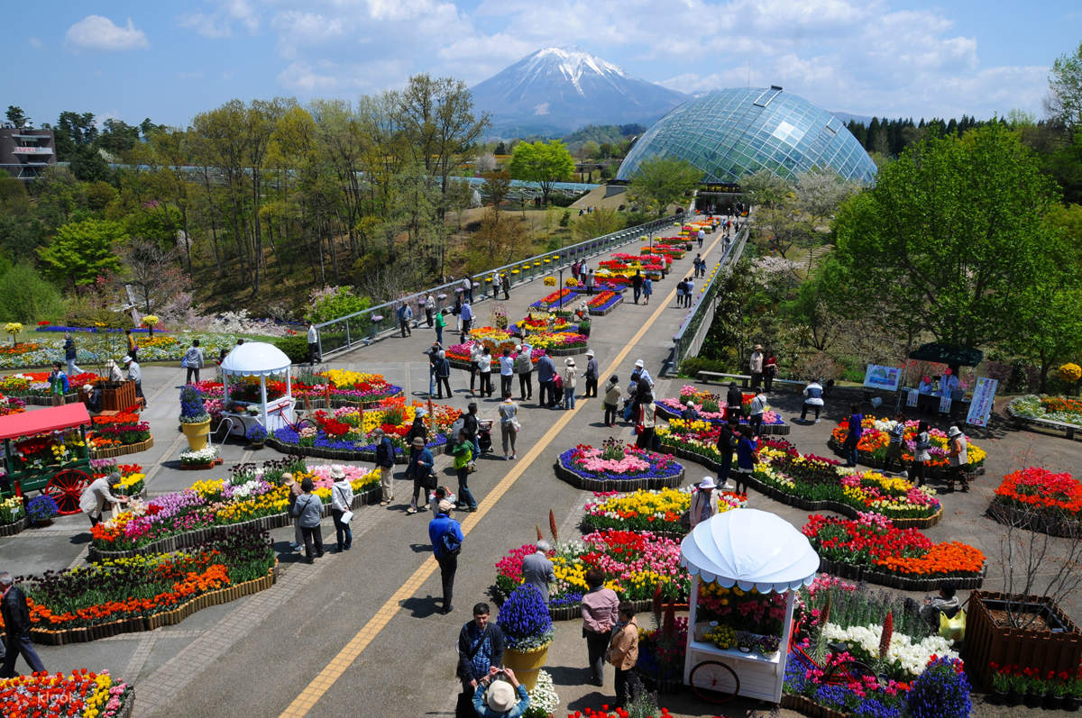 Mt. Daisen View Flower Fields and Birthplace of Gosho Aoyama Trip - Klook