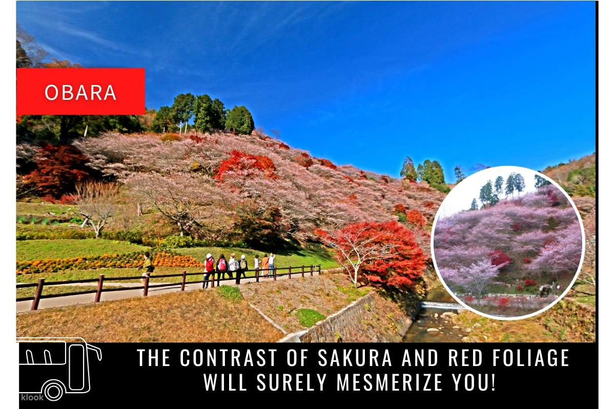 2 Day Korankei, Obara, and Star Village Achi Bus Tour from Nagoya - Klook Hong Kong