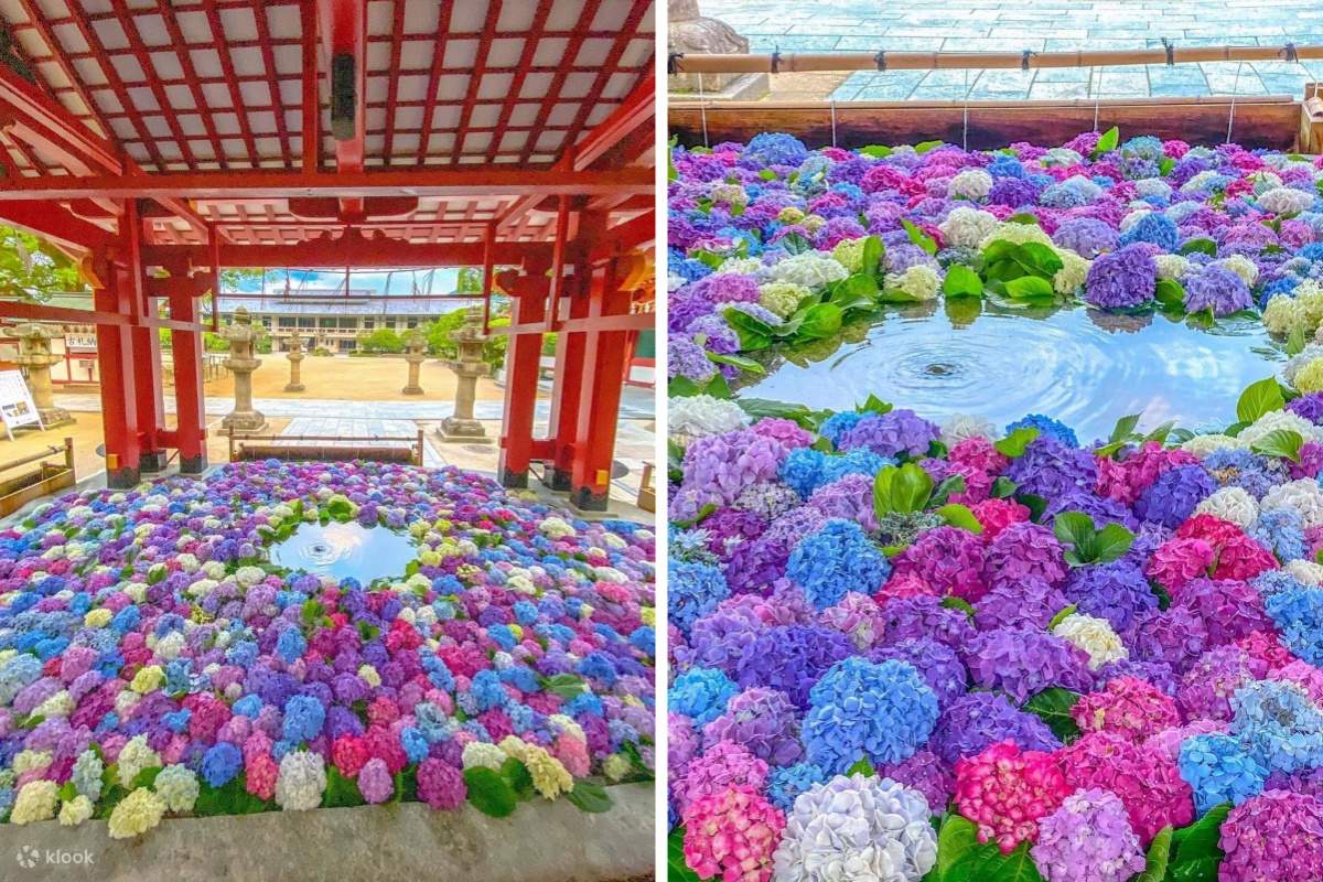 Yanagawa Dazaifu Yanagawa Cruise And Tosu Premium Outlets Day Tour