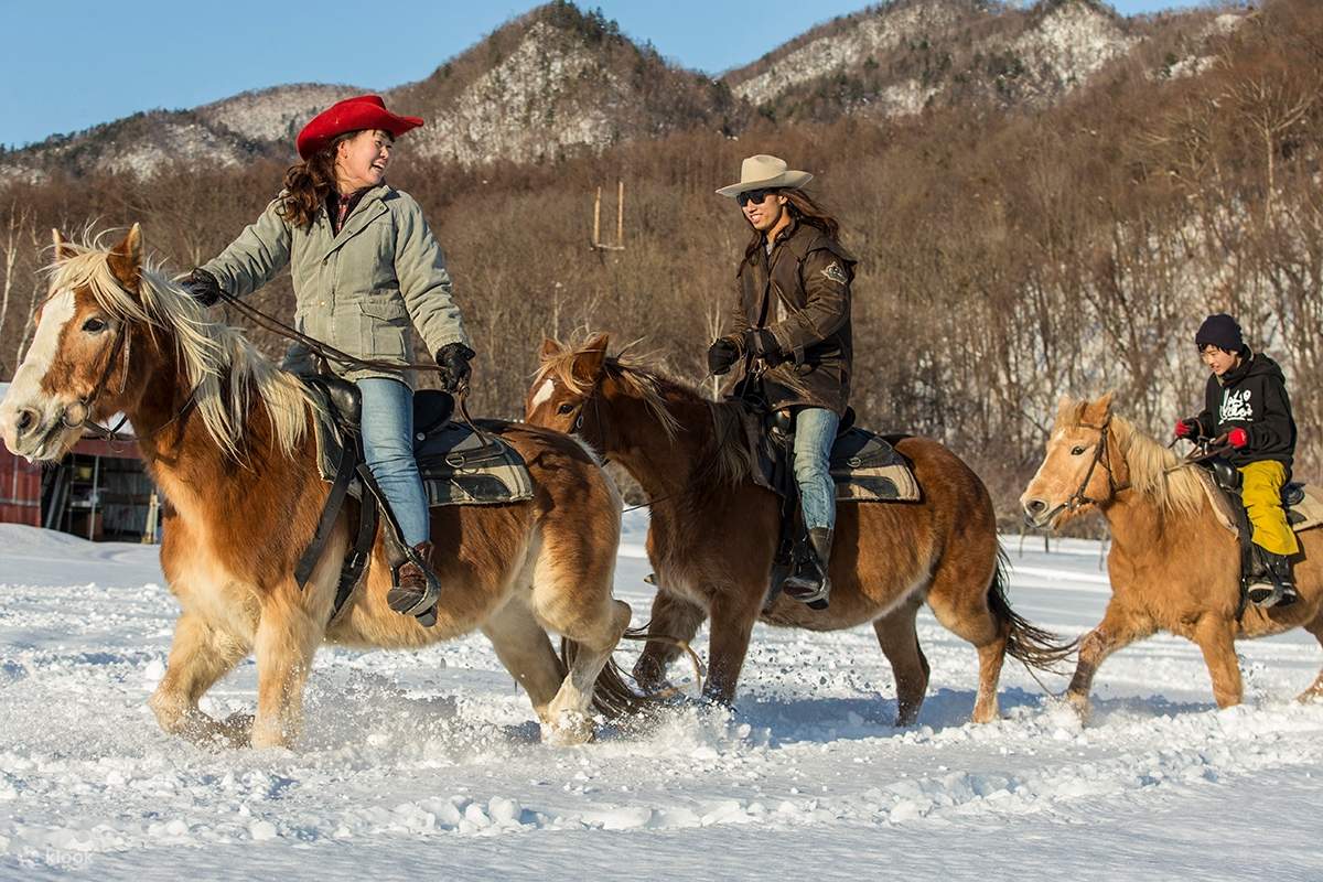 Winter Horseback Riding In Sapporo - Klook