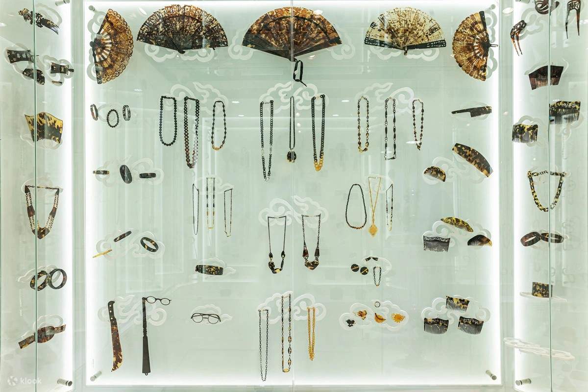 54 Ethnic Groups Jewelry Museum in Ho Chi Minh City - Klook États-Unis
