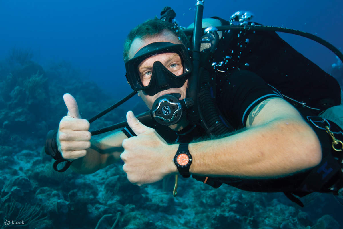 PADI Cuba Selam Skuba di Koh Samui | PADI 5 Star Dive Resort - Klook ...