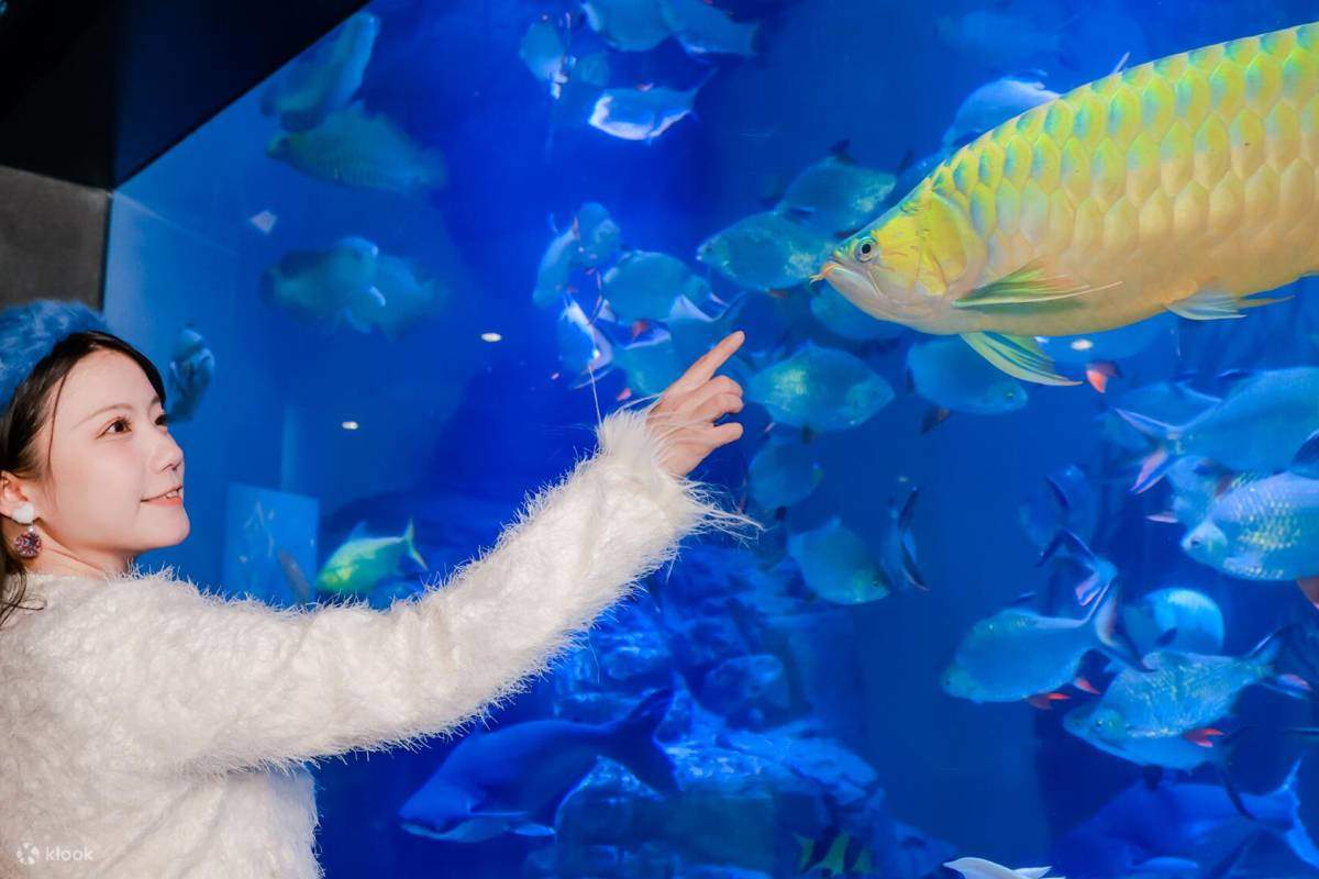 Shanghai Ocean Aquarium Ticket - Klook Canada