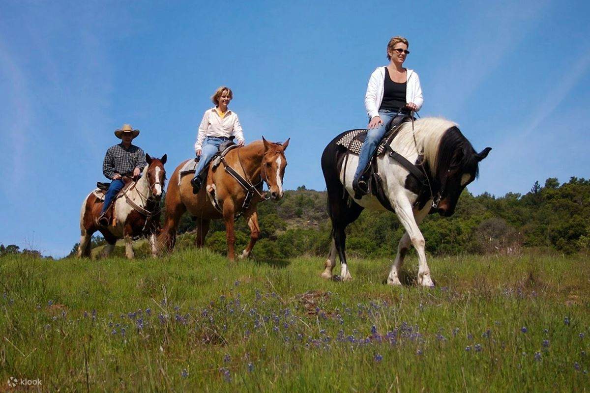 Alanya Horse Riding tour in the Taurus Mountains - Klook