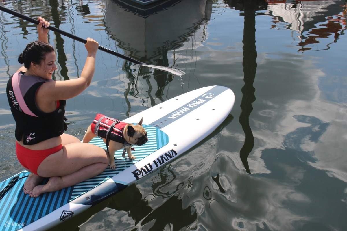 Stand-up Paddleboard Tour in Vancouver - Klook Australia