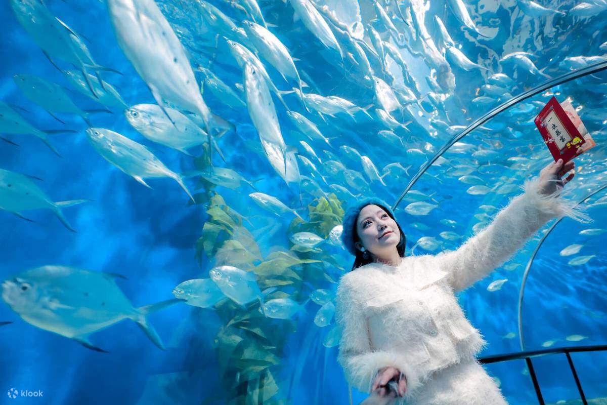 Shanghai Ocean Aquarium Ticket - Klook Estados Unidos