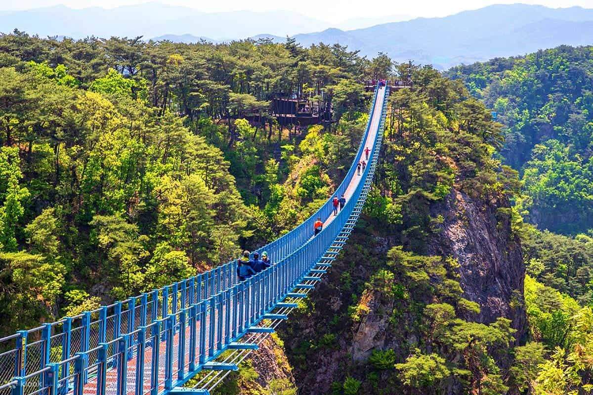 Pyeongchang Samyang Roundhill & Sogeumsan Suspension Bridge Tour ...
