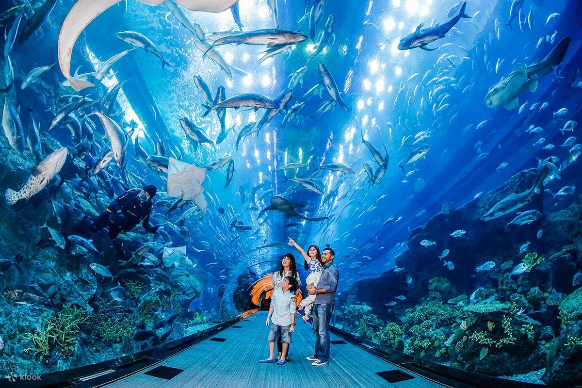 Go Dubai Explorer Pass (3, 4, 5, or 7 Attractions) - Klook