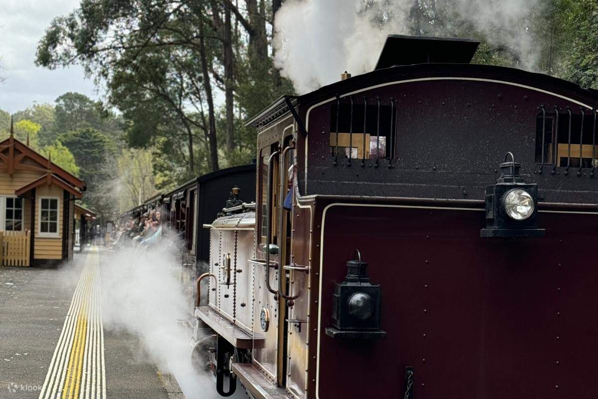 Puffing Billy Steam Train Ride from Melbourne - Klook