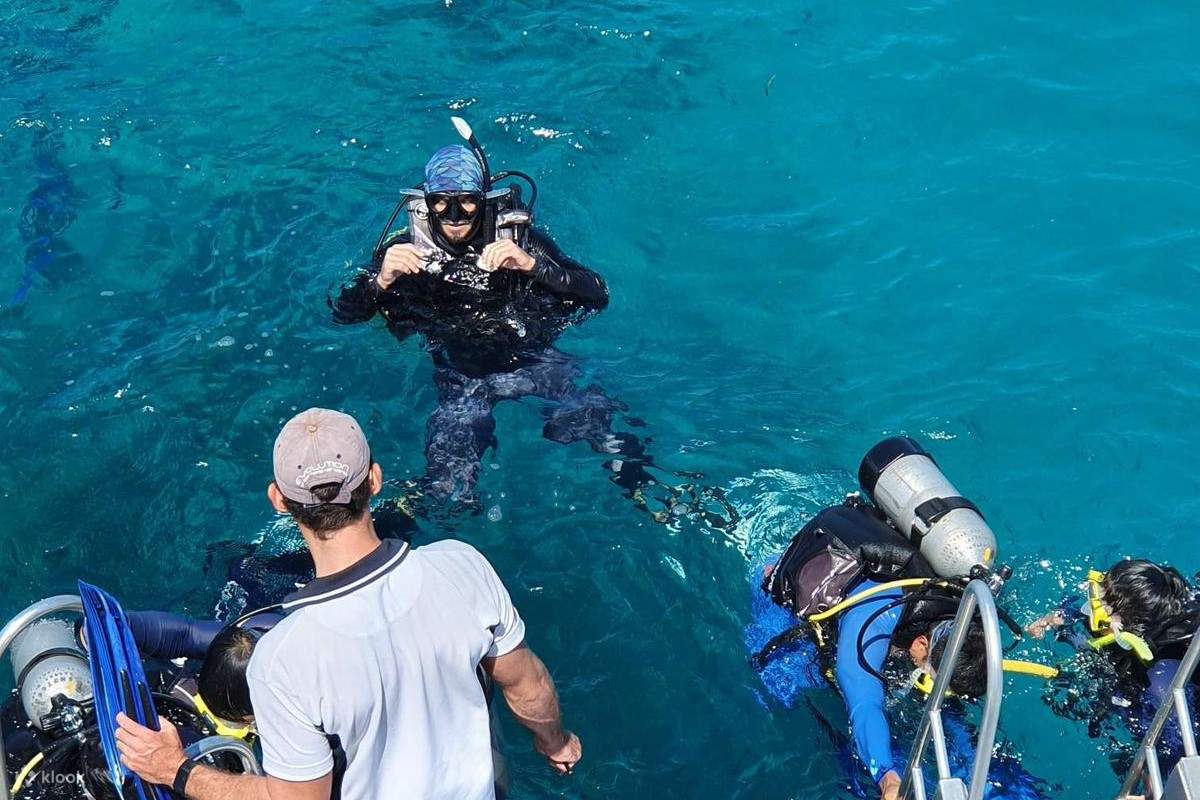 Great Barrier Reef Snorkel, Dive and Helicopter Flight Full Day Tour ...