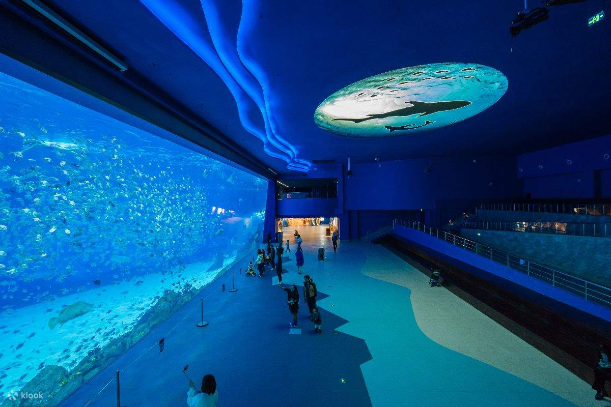 Oriental Pearl Tower + Shanghai Ocean Aquarium + Jin Mao Tower ...