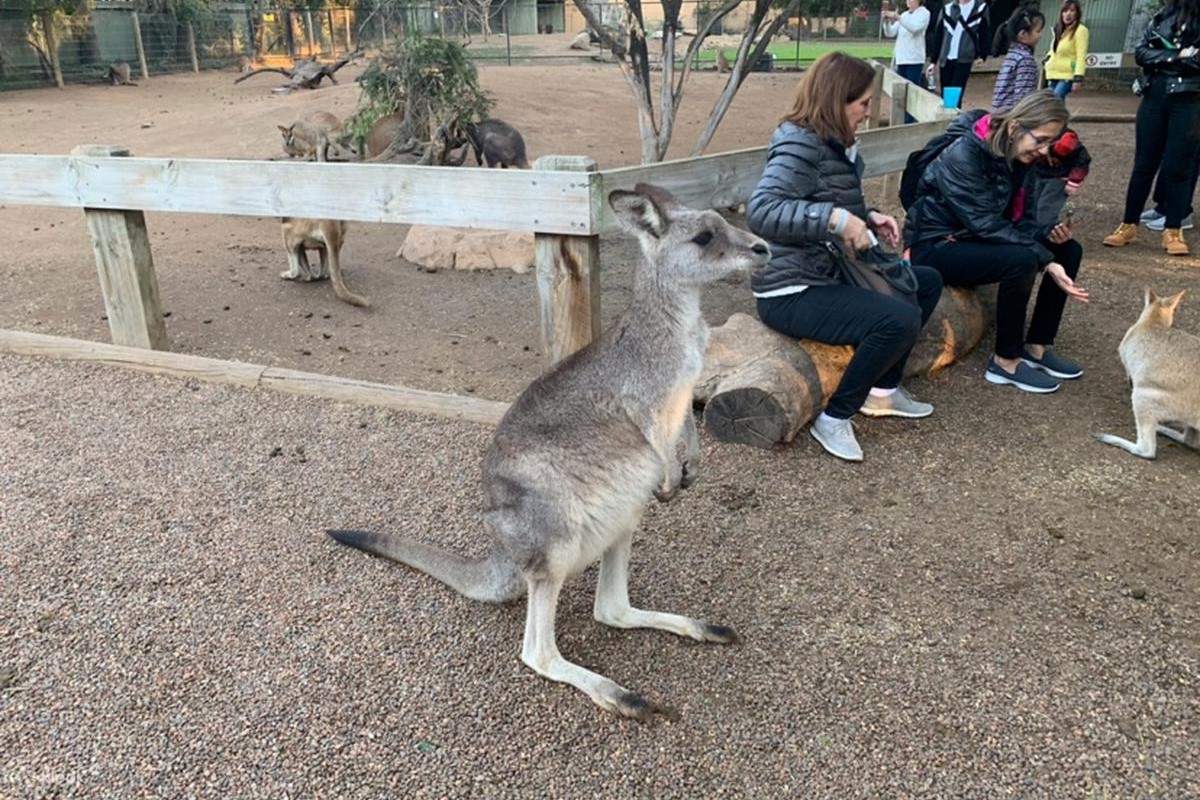 All-Inclusive Blue Mountains Tour dari Sydney - Klook Amerika Syarikat