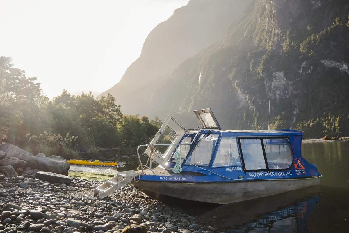 Milford Track Day Walk Experience - Klook