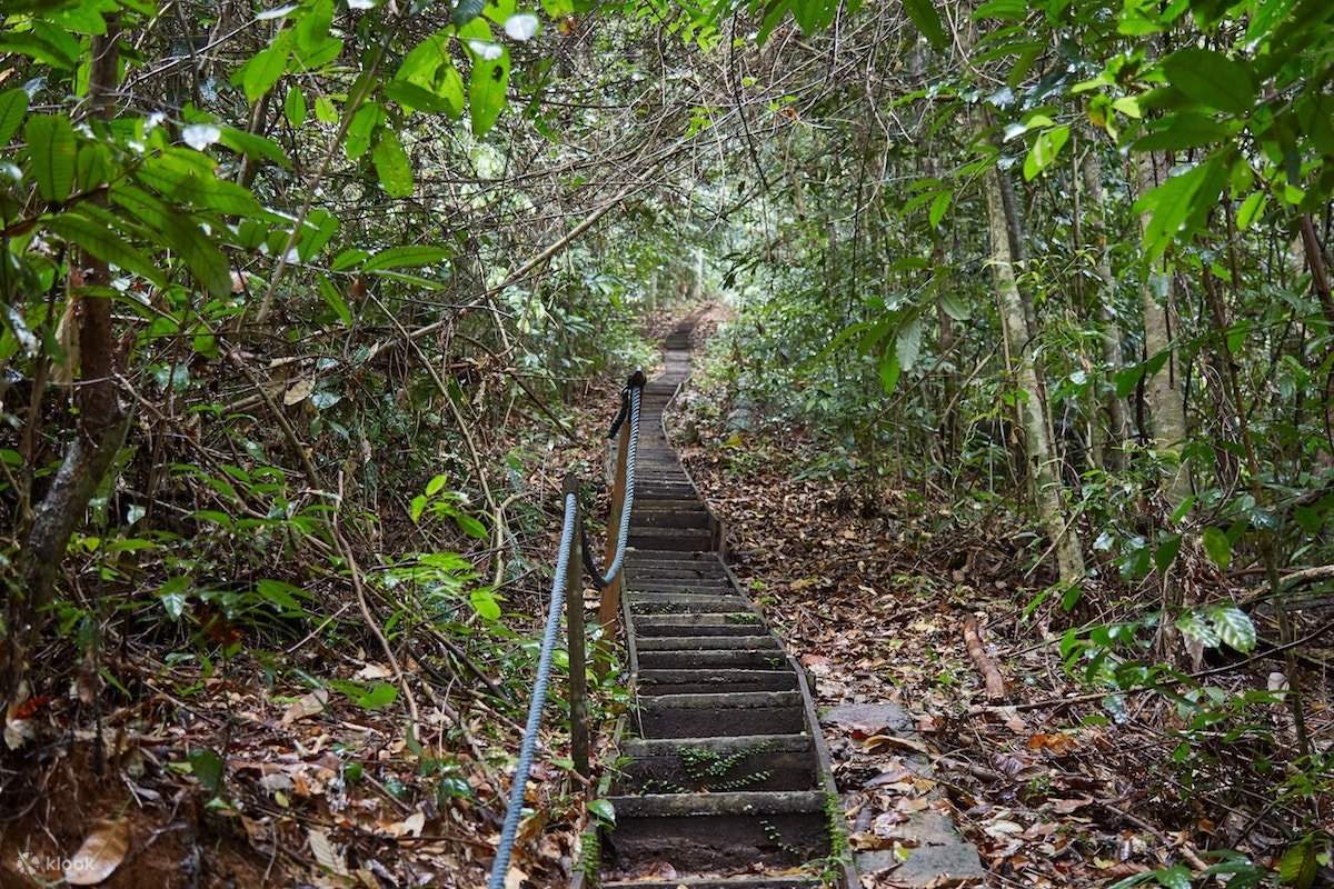 Gunung Gading National Park Day Tour - Klook Indonesia