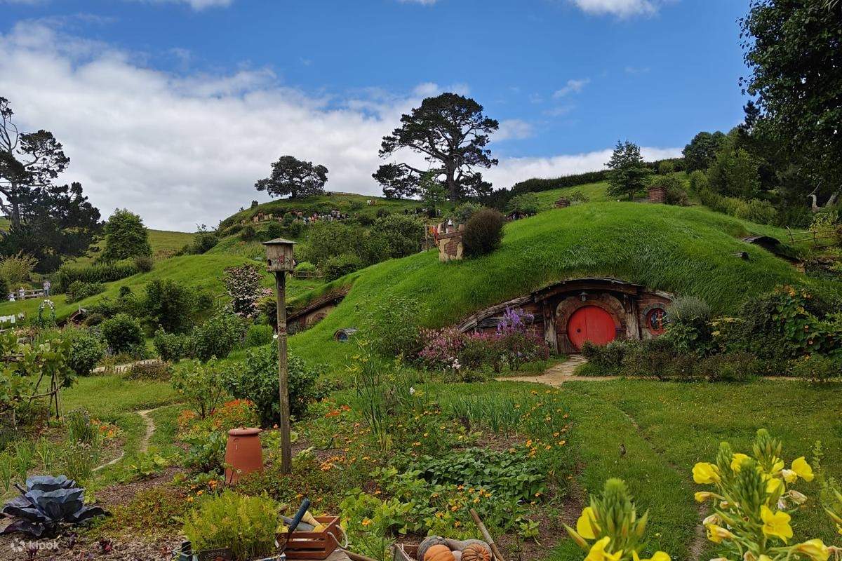 Hobbiton Movie Set Guided Tour from Auckland - Klook