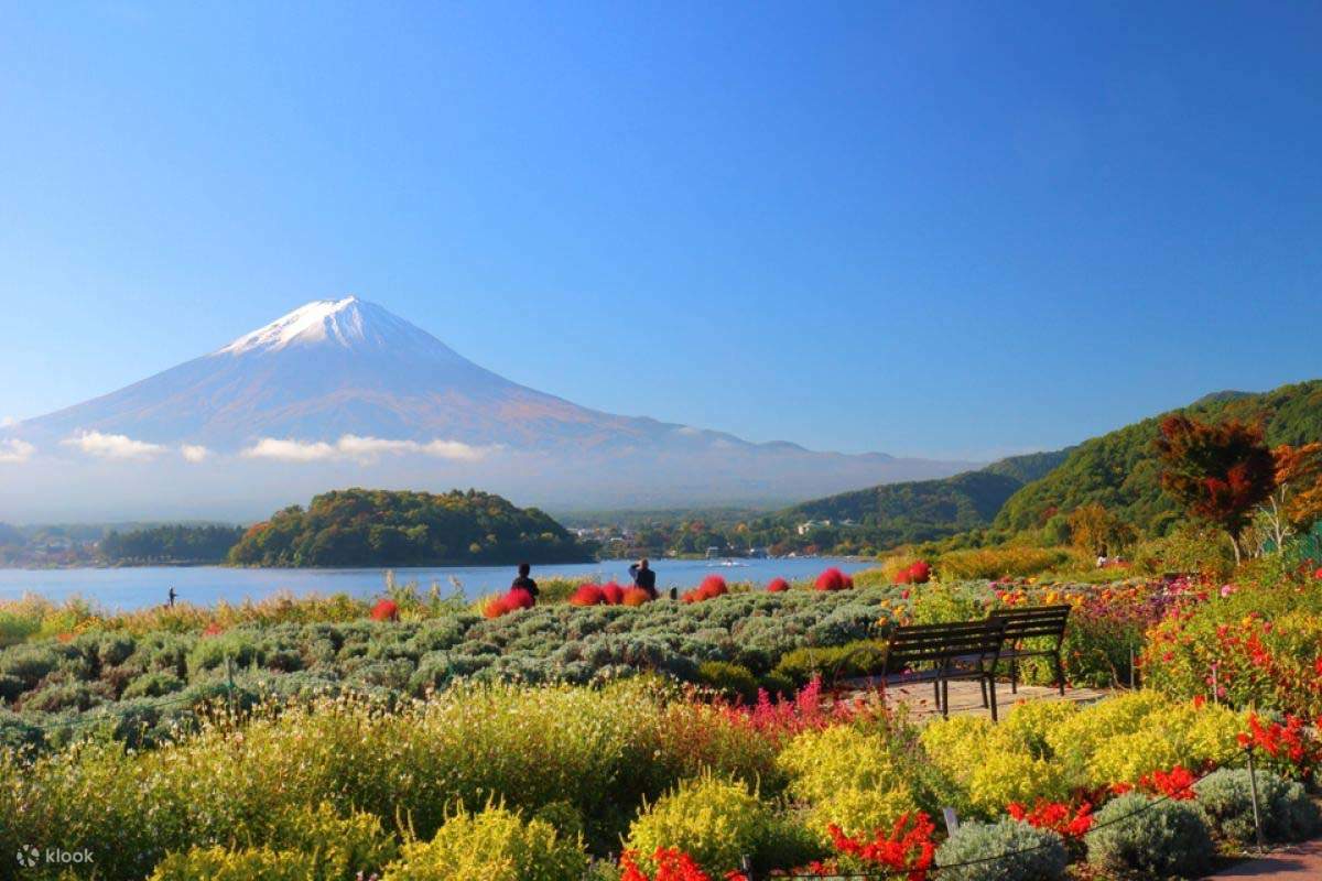 Popular Mt. Fuji amphibious bus day tour｜KABA BUS/Swan Lake Cruise ...