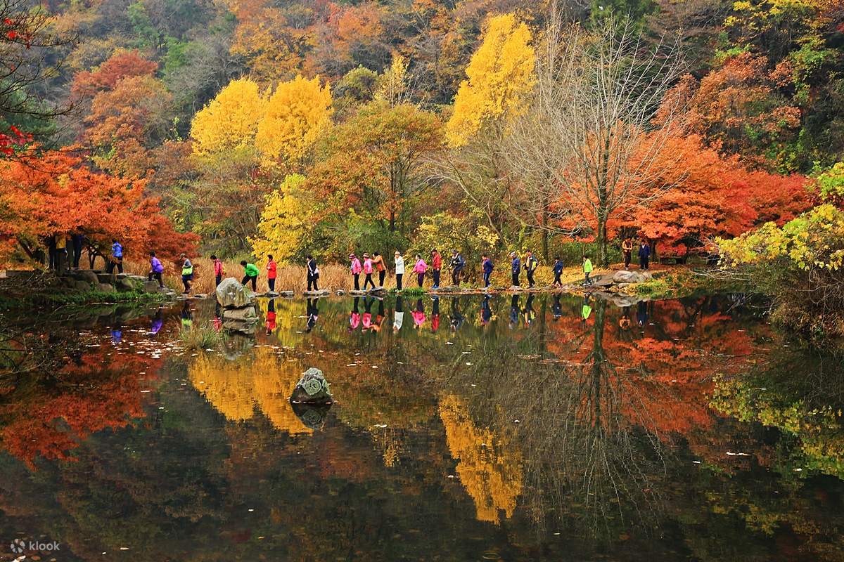 Naejangsan National Park & Jeonju Hanok Village One Day Tour from Seoul ...