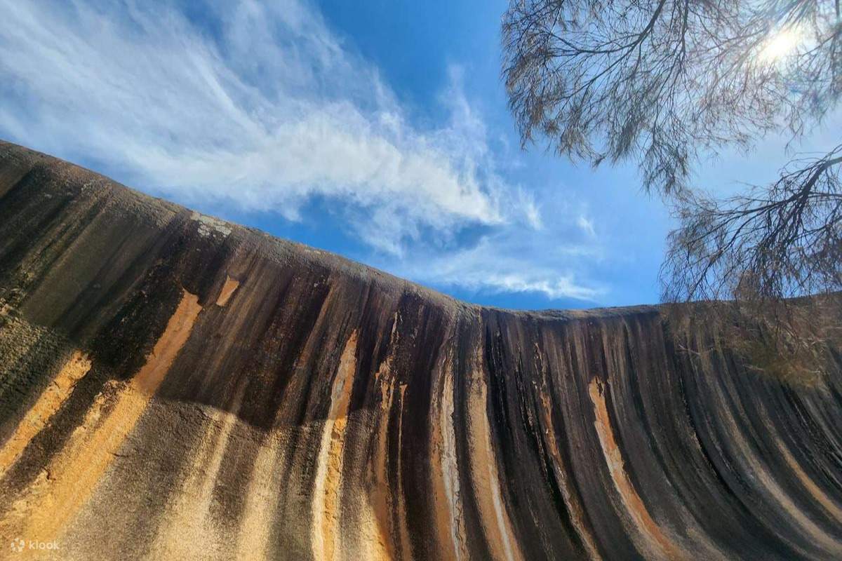 Perjalanan Sehari Wave Rock, York, Bunga Liar & Budaya Orang Asli dari ...