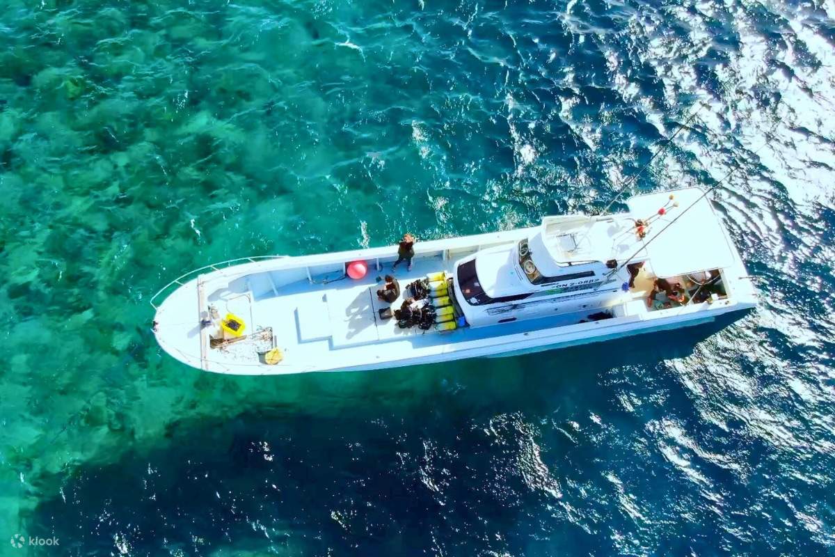 Private Charter Boat Fishing & Trolling Experience in Okinawa - Klook