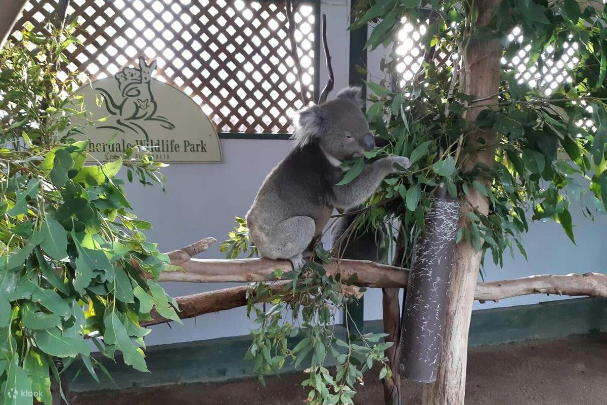 All-Inclusive Blue Mountains Tour dari Sydney - Klook Amerika Syarikat