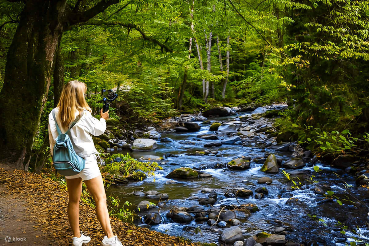 From Tbilisi to Borjomi Rabati Fortress and Vardzia Cave City - Klook