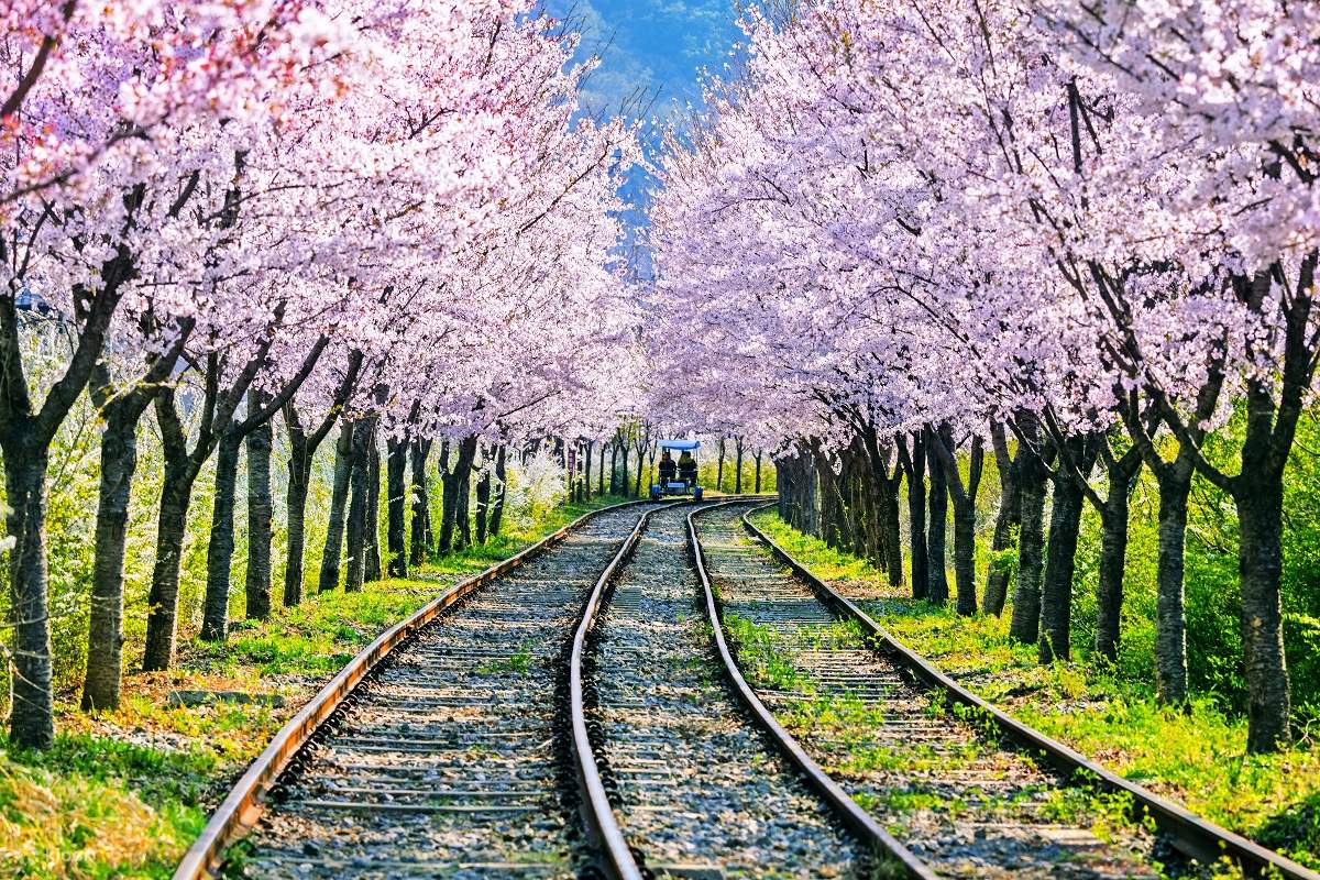 Gapyeong Rail Bike Experience, Seoul - Klook Philippines