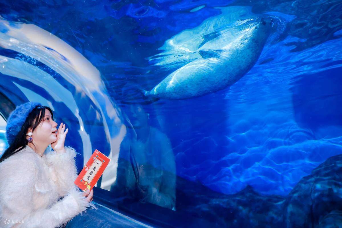 Shanghai Ocean Aquarium Ticket - Klook India