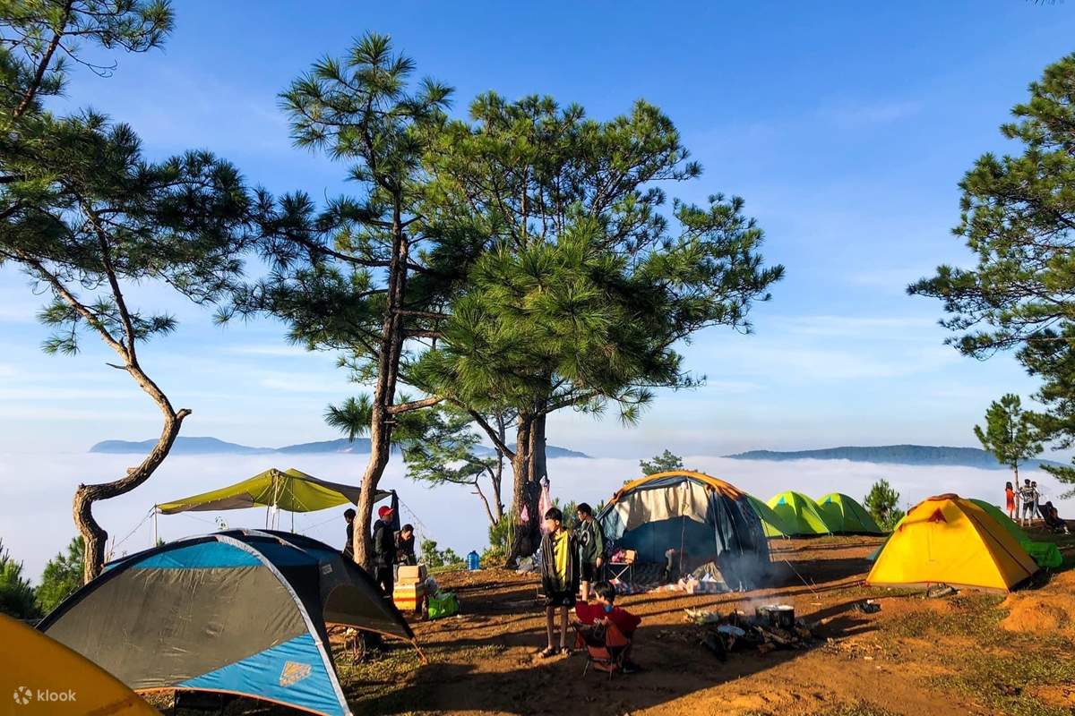 Camping and Cloud Hunting Tour, Dalat - Klook