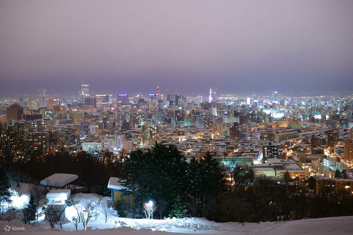 Sapporo Mt. Moiwa & Asahiyama Memorial Park Night View Trip - Klook