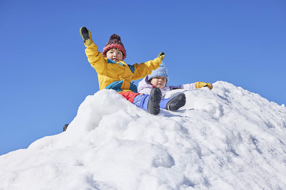 With Mt. Fuji View: Snow Fun at Fujiten & Oishi Park Sightseeing Tou ...