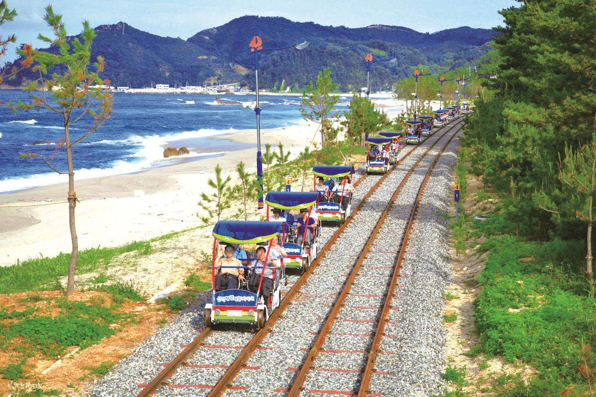 Samcheok Maengbang Canola Flower&Ocean rail bike+Donghae Day Tour - Klook