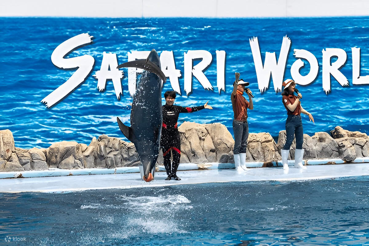 Safari World, Marine Park & Chocolate Ville Day Tour - Klook India