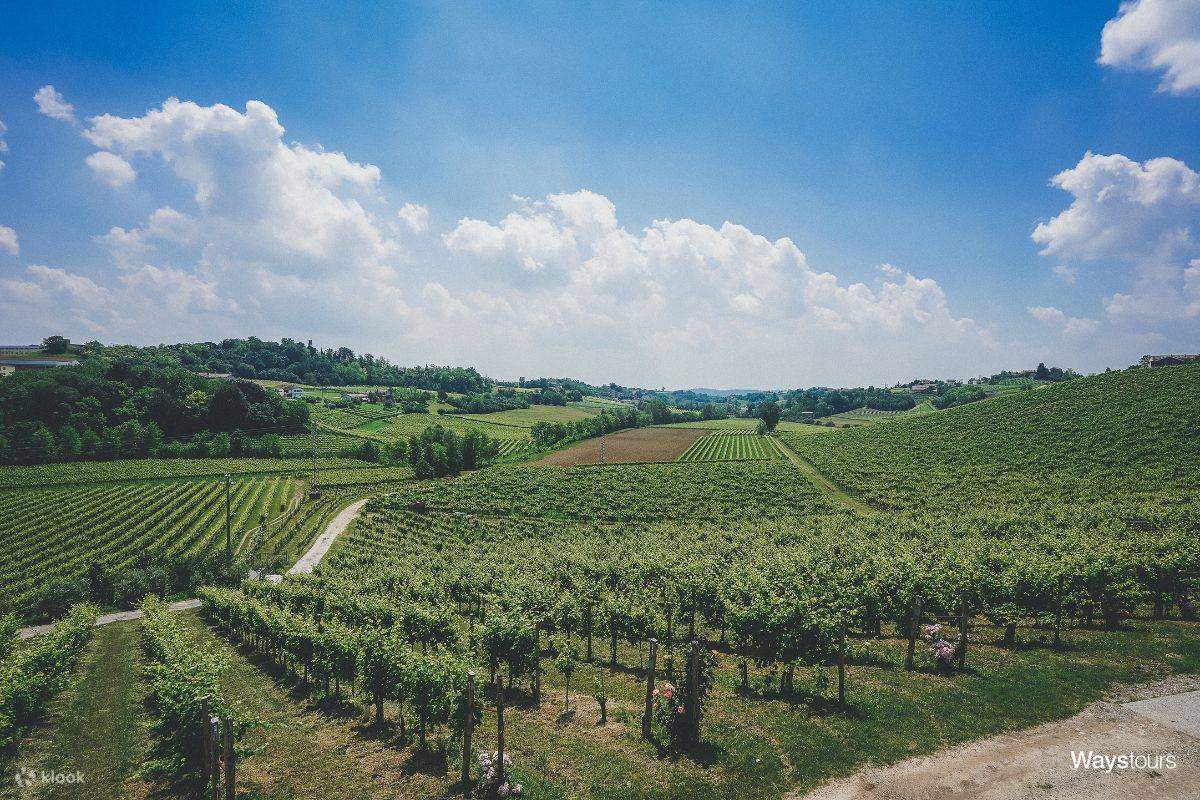 Prosecco valley wine tour from Venice - Klook États-Unis