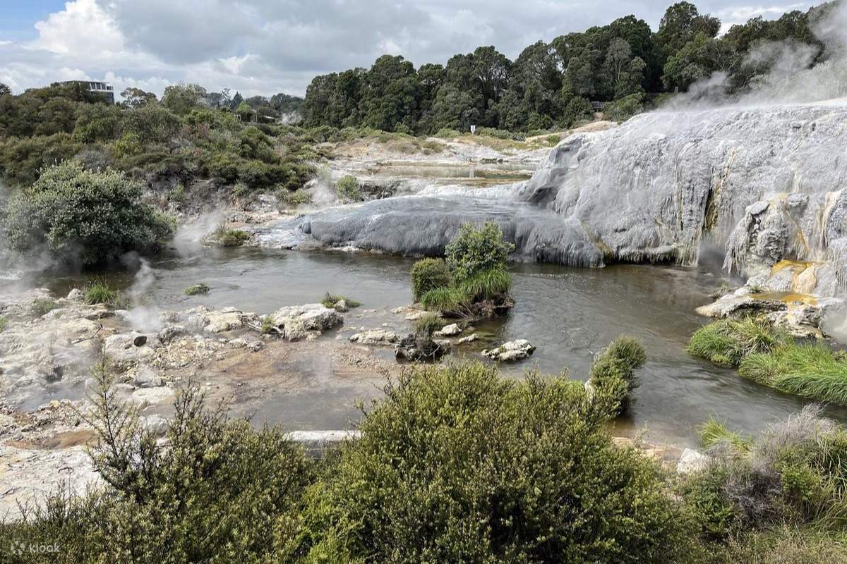 Te Puia와 오클랜드에서 출발하는 Waitomo 및 Rotorua 일일 투어 클룩 Klook 한국