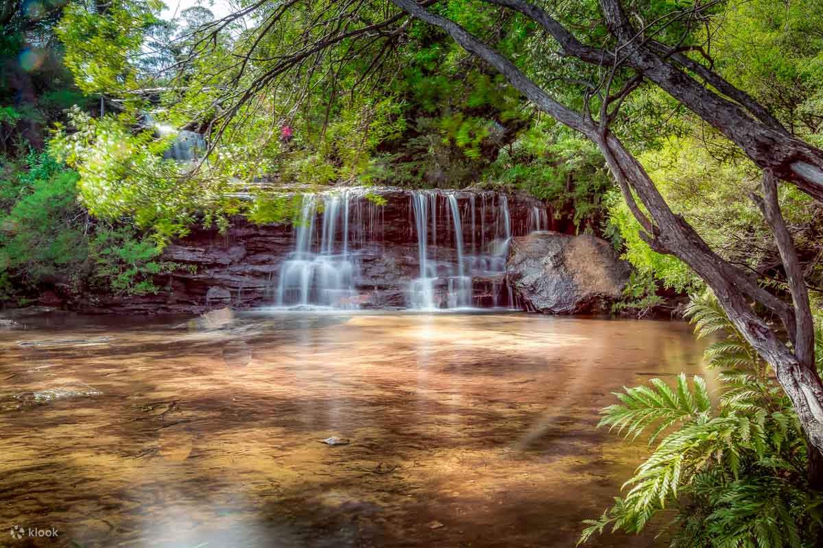 Central Coast Waterfalls And Nature Photography Experience by Picture ...