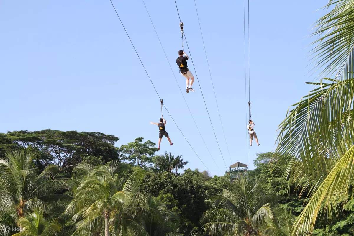 MegaZip au Mega Adventure Park Singapour - Klook États-Unis