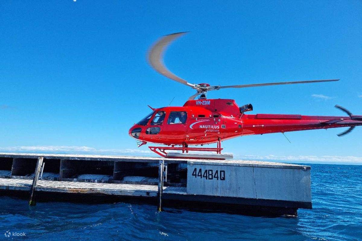 Great Barrier Reef Snorkel, Dive and Helicopter Flight Full Day Tour ...