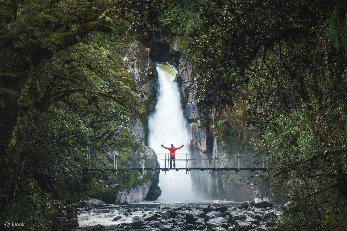 Milford Track Day Walk Experience - Klook Canada