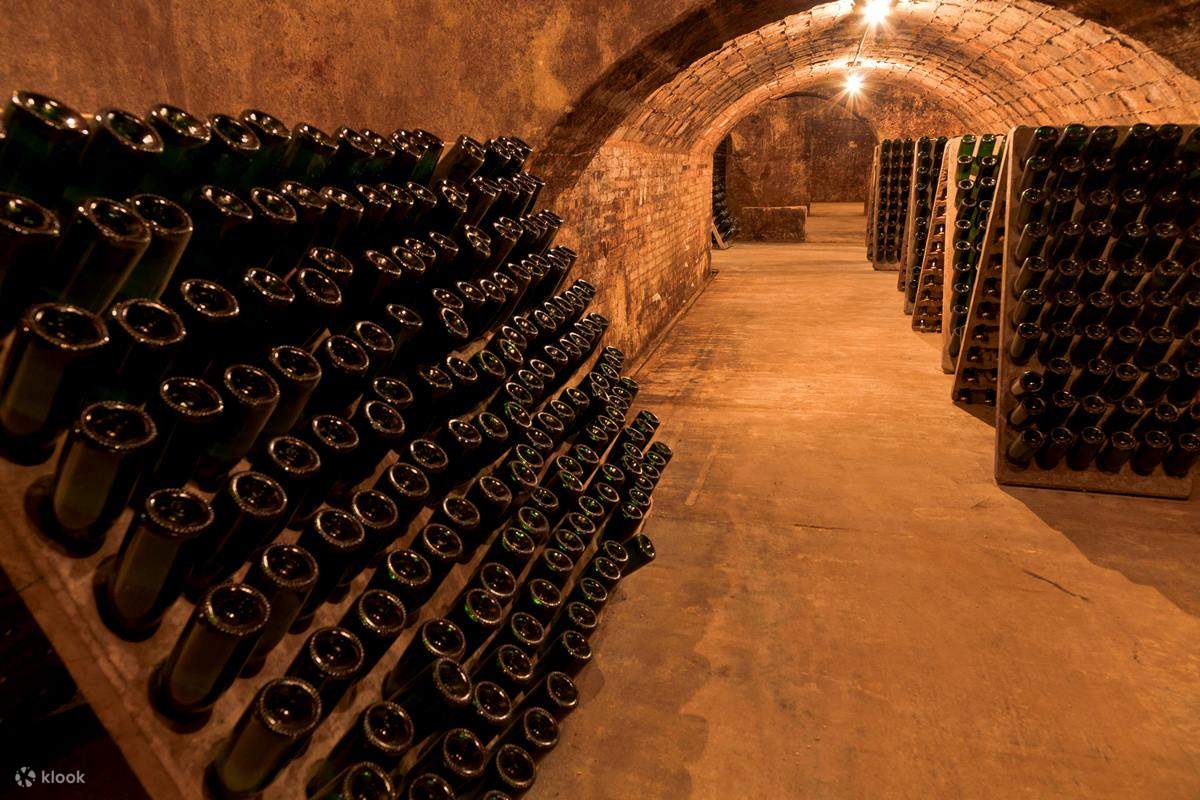 Wine Cellar Tour with Tasting from Barcelona - Klook