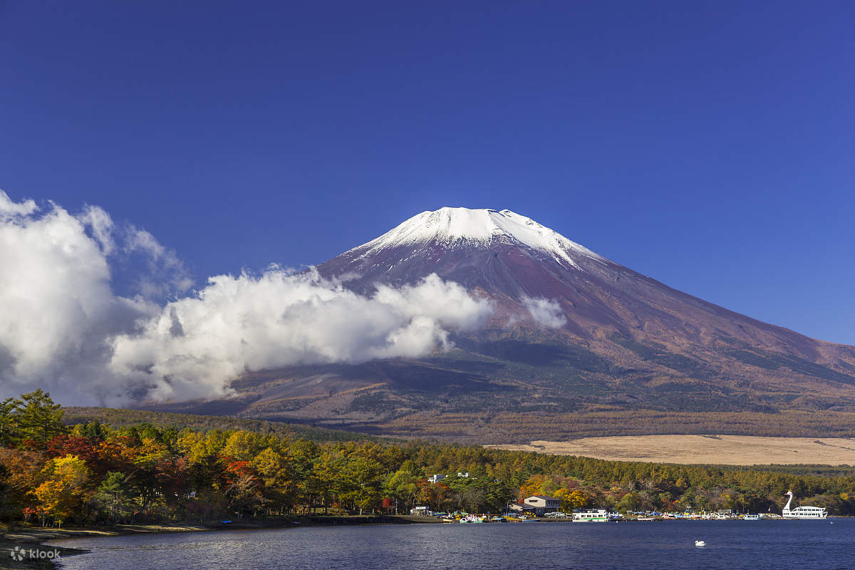 Mount Fuji, Owakudani, and Hakone Join In Bus Tour with Cherry Blossom ...