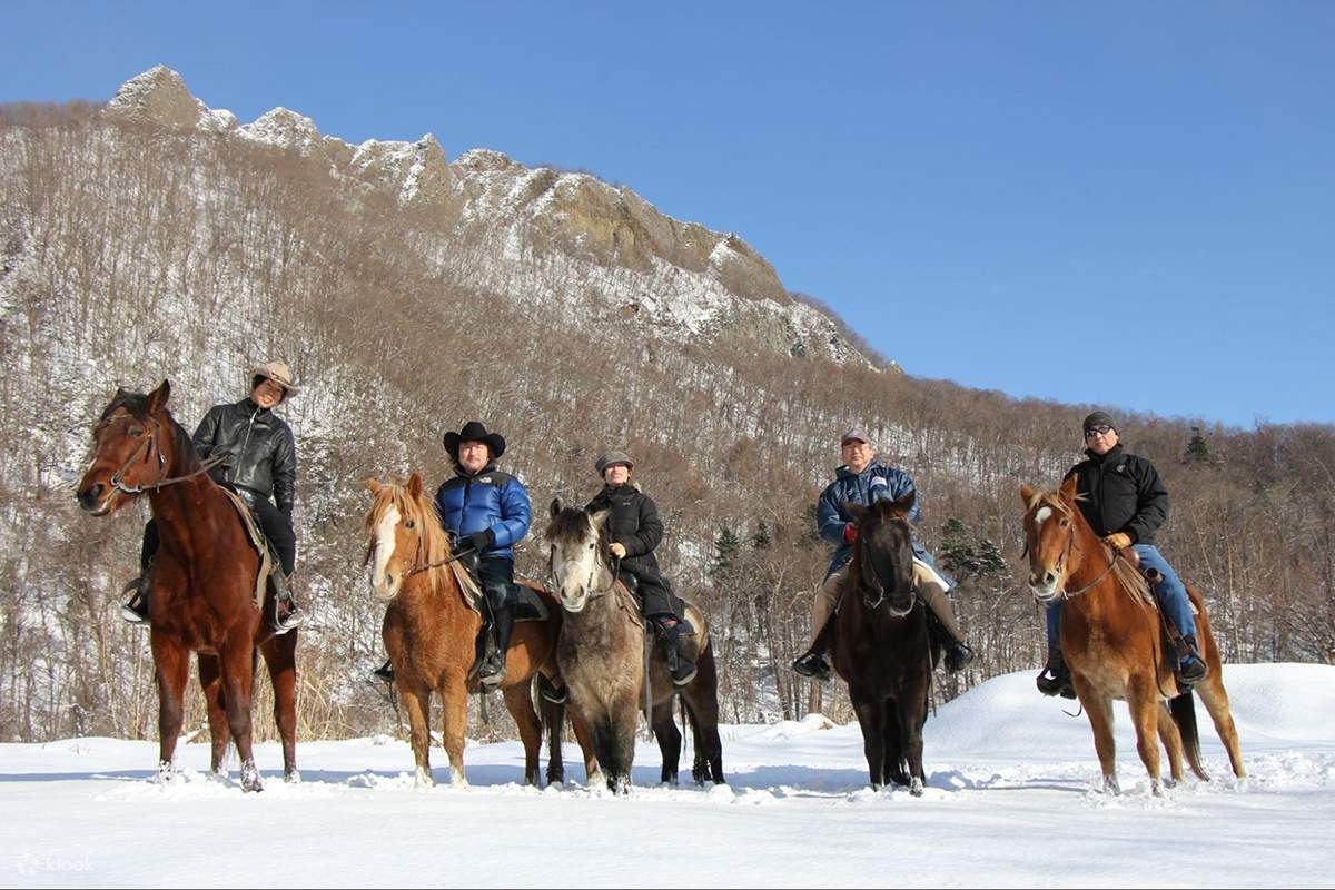 Winter Horseback Riding In Sapporo - Klook