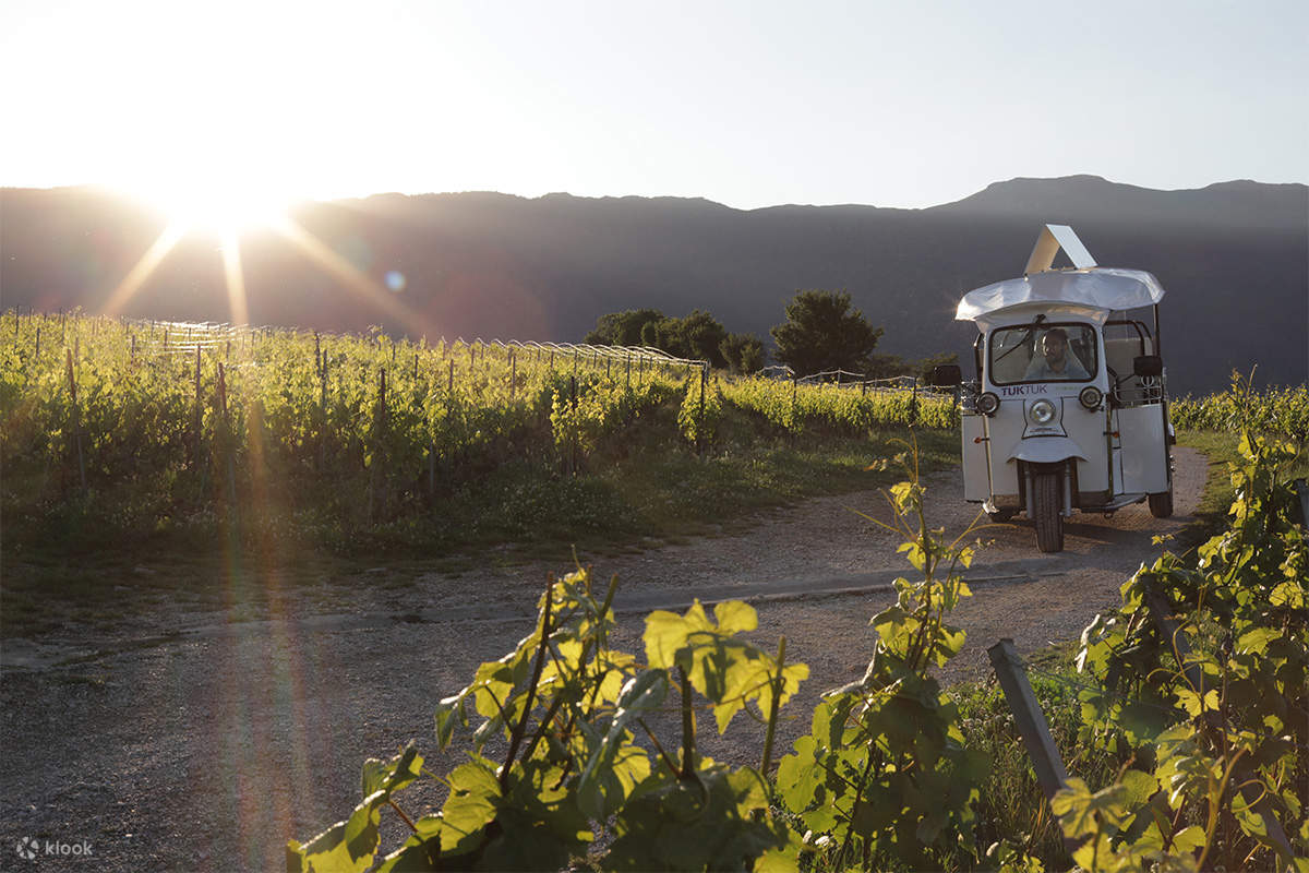 Geneva Panoramic & Vineyard Tasting Tour by Electric Tuk Tuk - Klook ...