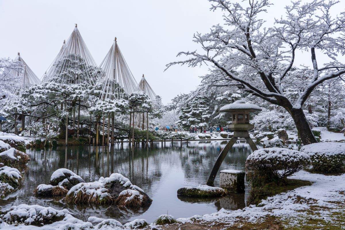 Kenroku-en, Kanazawa Castle Park, and Higashi Chaya District Private ...