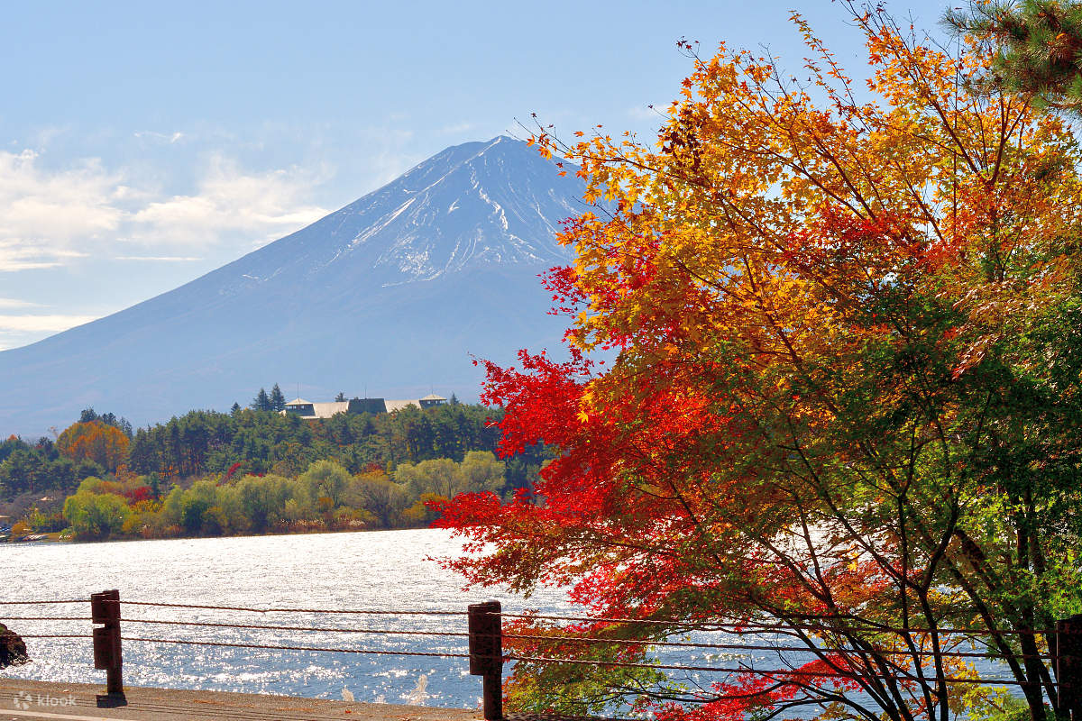 Mount Fuji, Kawakuchiko, and Arakurayama Sengen Park Join In Bus Tour ...